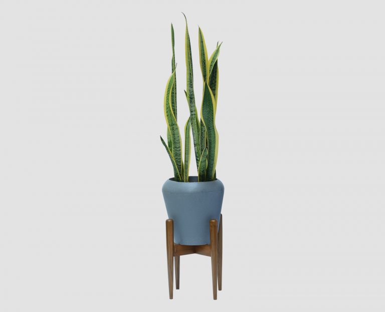 Danish Planter - Sadaya Guild